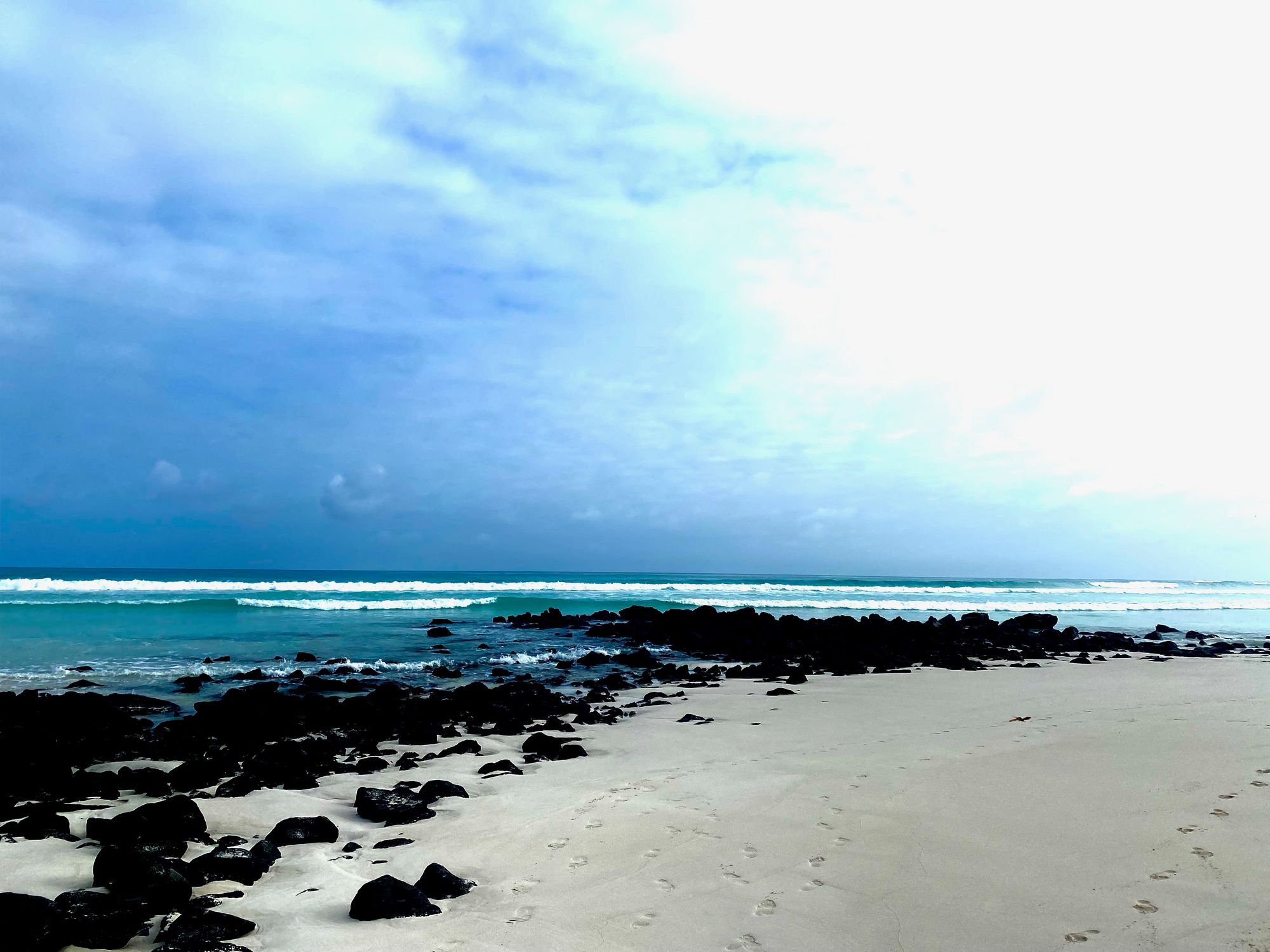 Tania Ramos Beltrán - Stay Curious Club